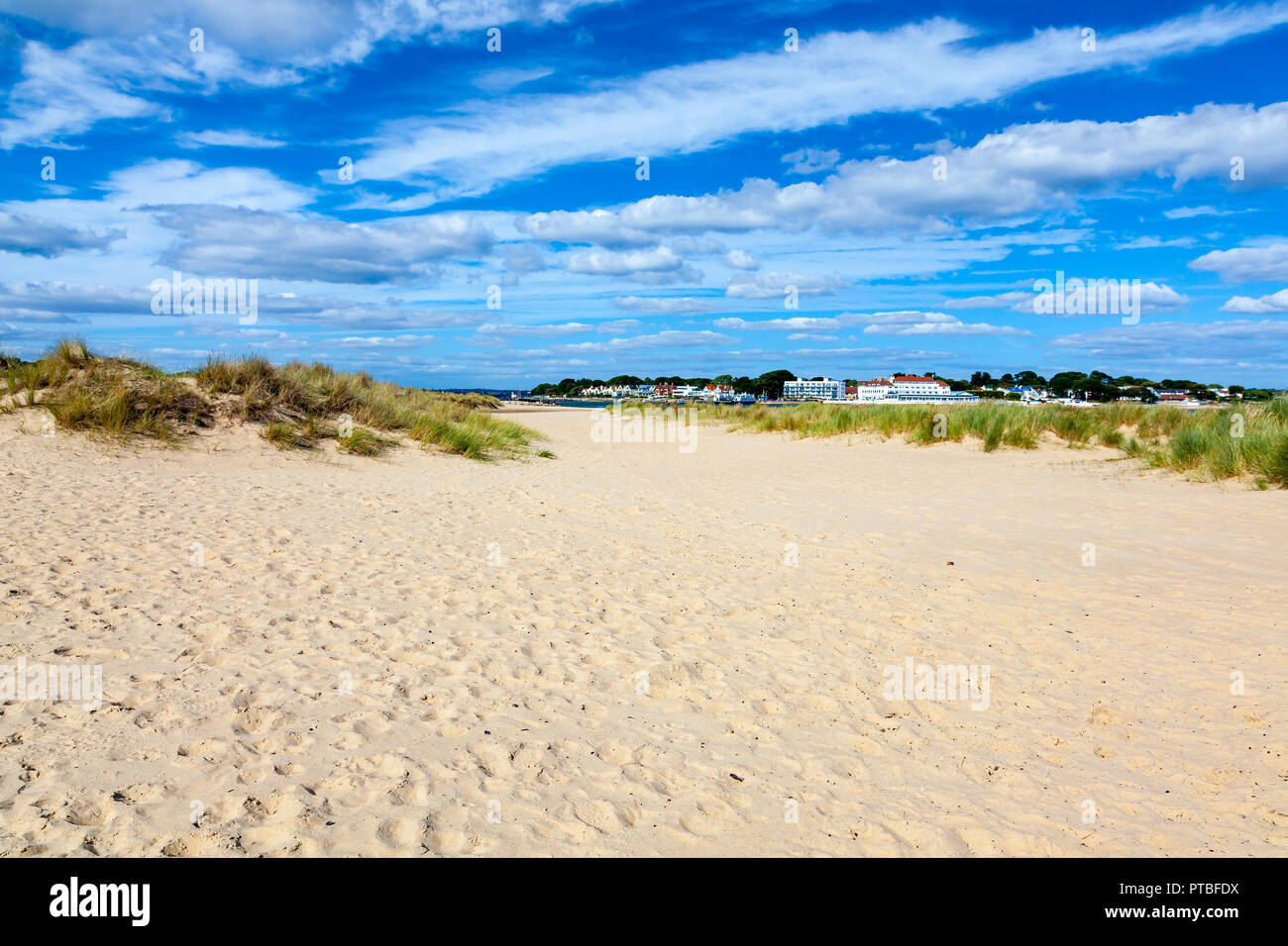 Stunning golden sandy beach at Shell Bay on the Studland Peninsula ...