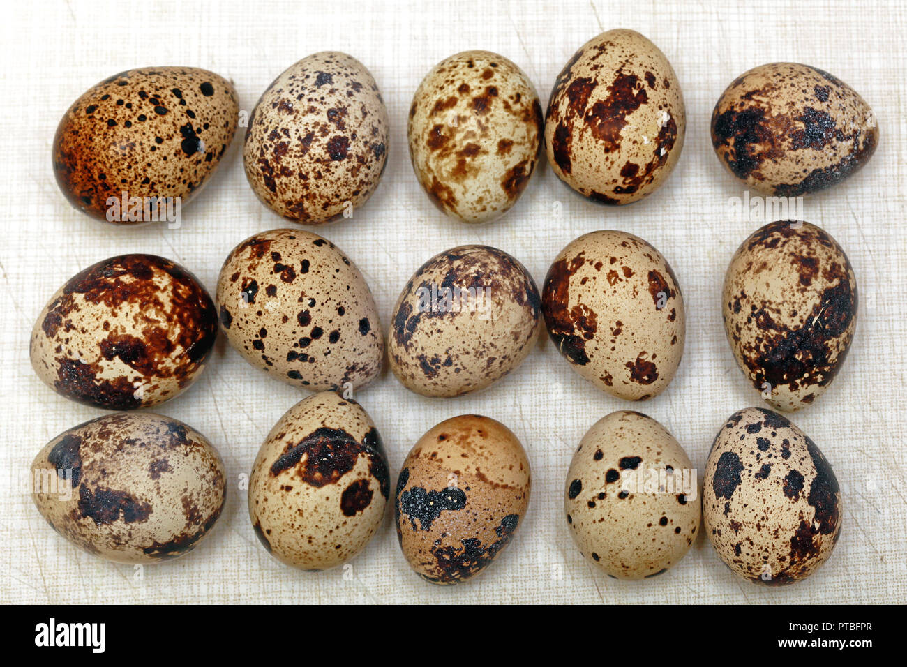 Traditional Japanese Cuisine Delicacy Organic Quail Eggs Stock Photo ...
