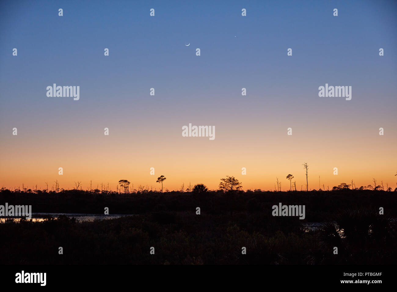 Crescent moon rising at sunset in Jonathan Dickinson State Park ...