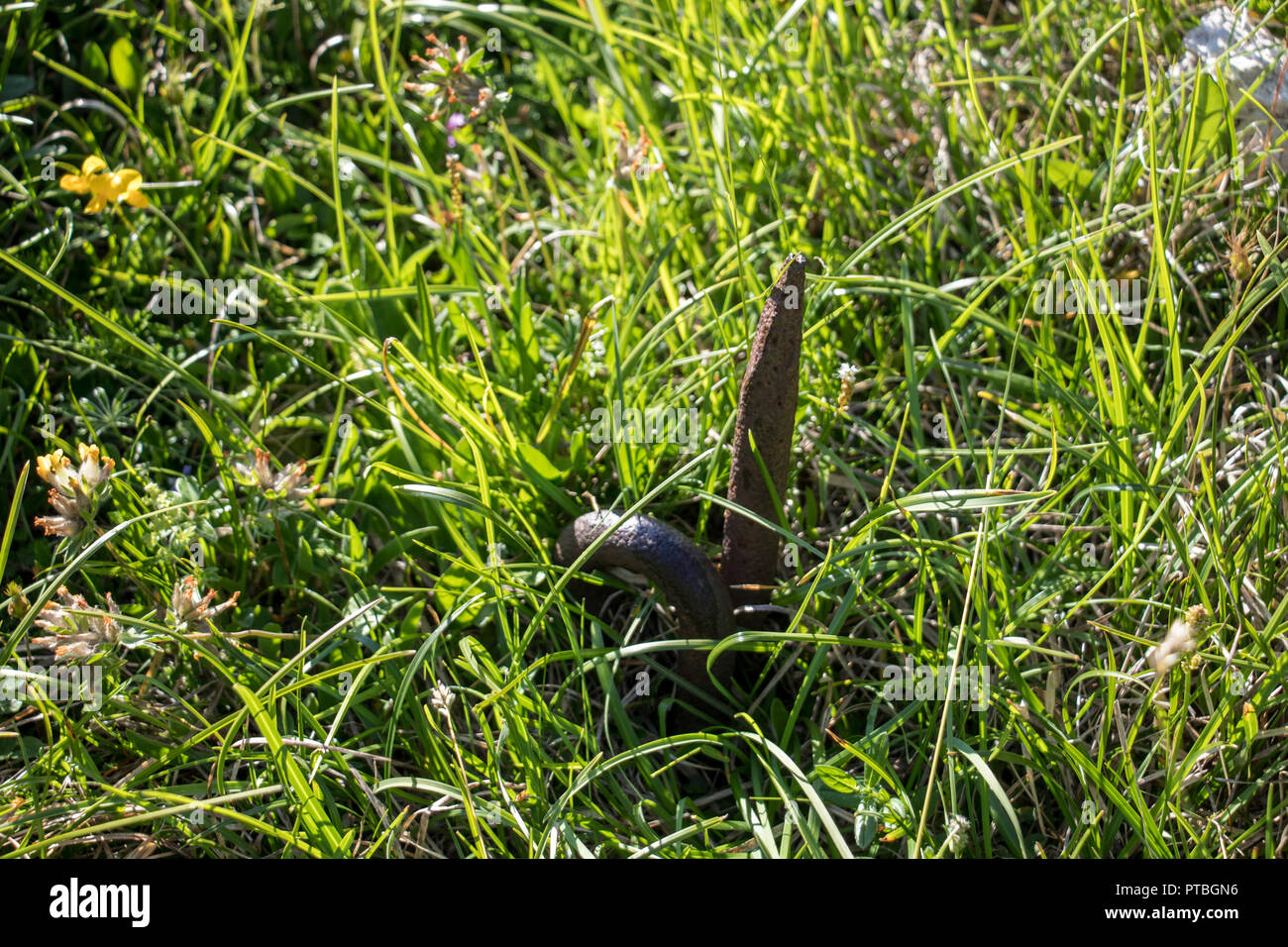 Old vintage military infantry hi-res stock photography and images - Alamy