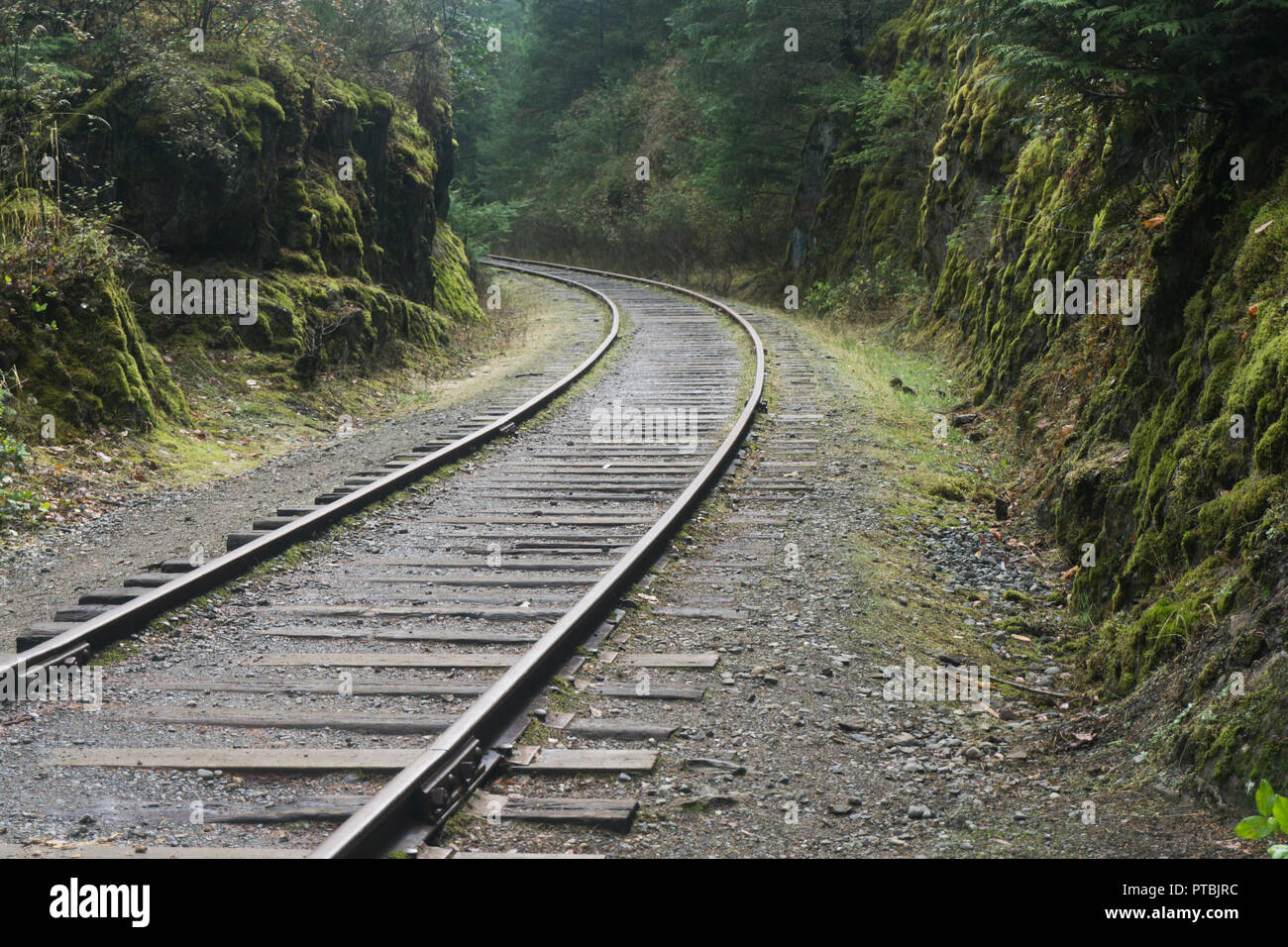 Old abandoned railroad train track Stock Photo - Alamy