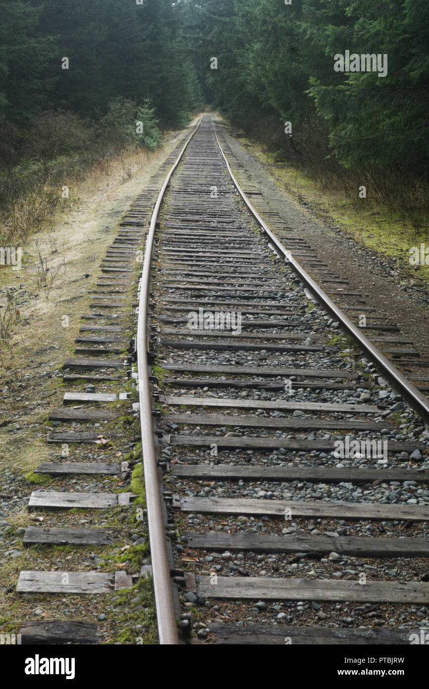 Old abandoned railroad train track Stock Photo - Alamy