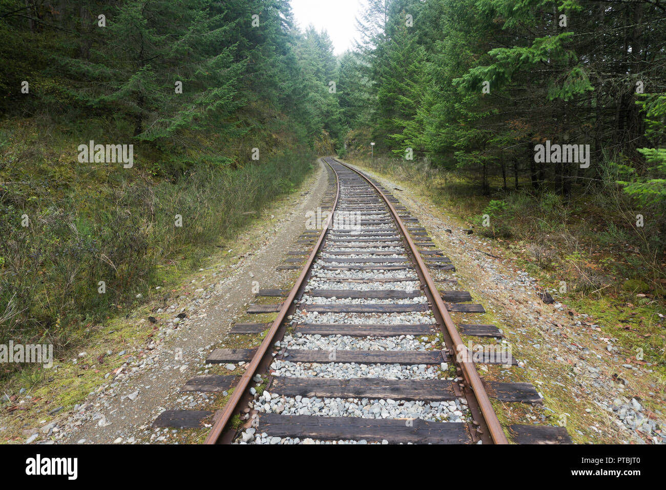 Old abandoned railroad train track Stock Photo - Alamy