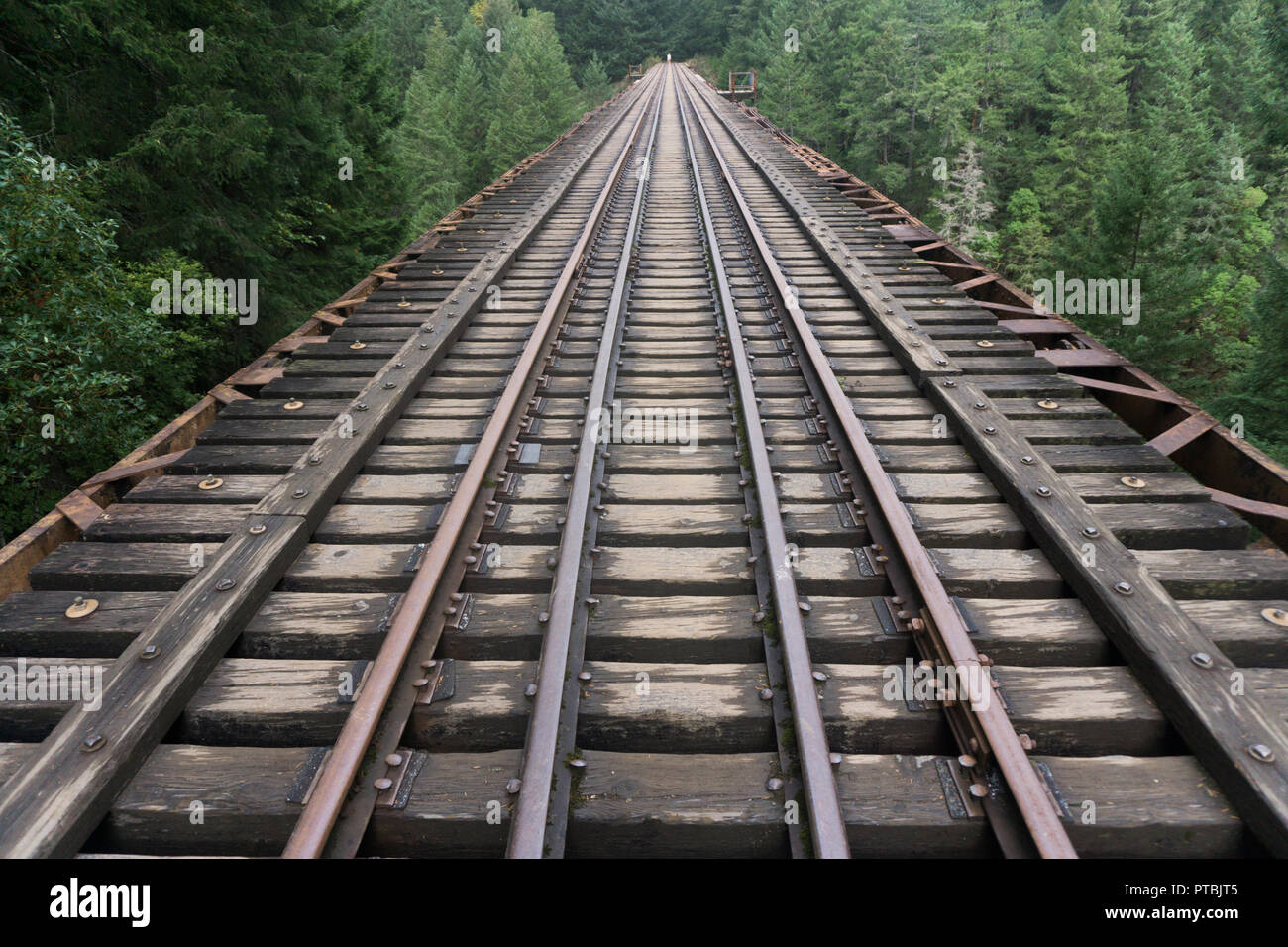 Old abandoned railroad train track Stock Photo - Alamy