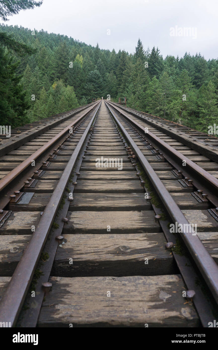 Old abandoned railroad train track Stock Photo - Alamy