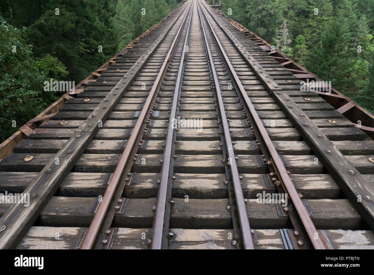 Old abandoned railroad train track Stock Photo - Alamy