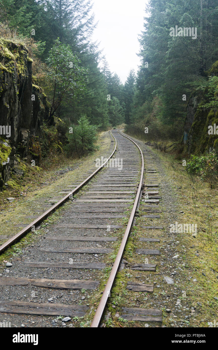 Old abandoned railroad train track Stock Photo - Alamy