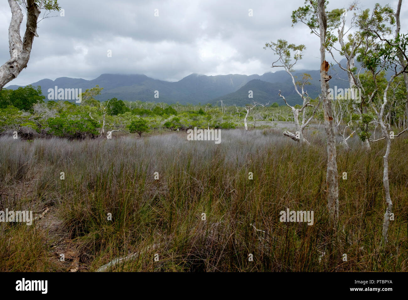 Hinchinbrook Island - The Thorsborne Trail Stock Photo - Alamy