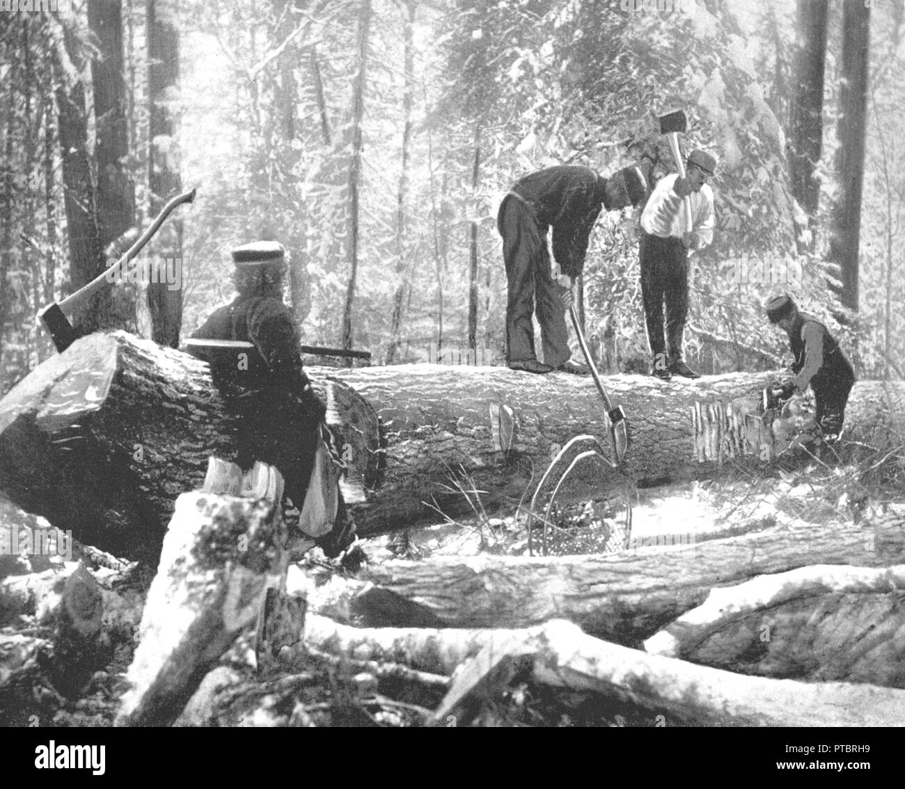 Lumbering canada hi-res stock photography and images - Alamy