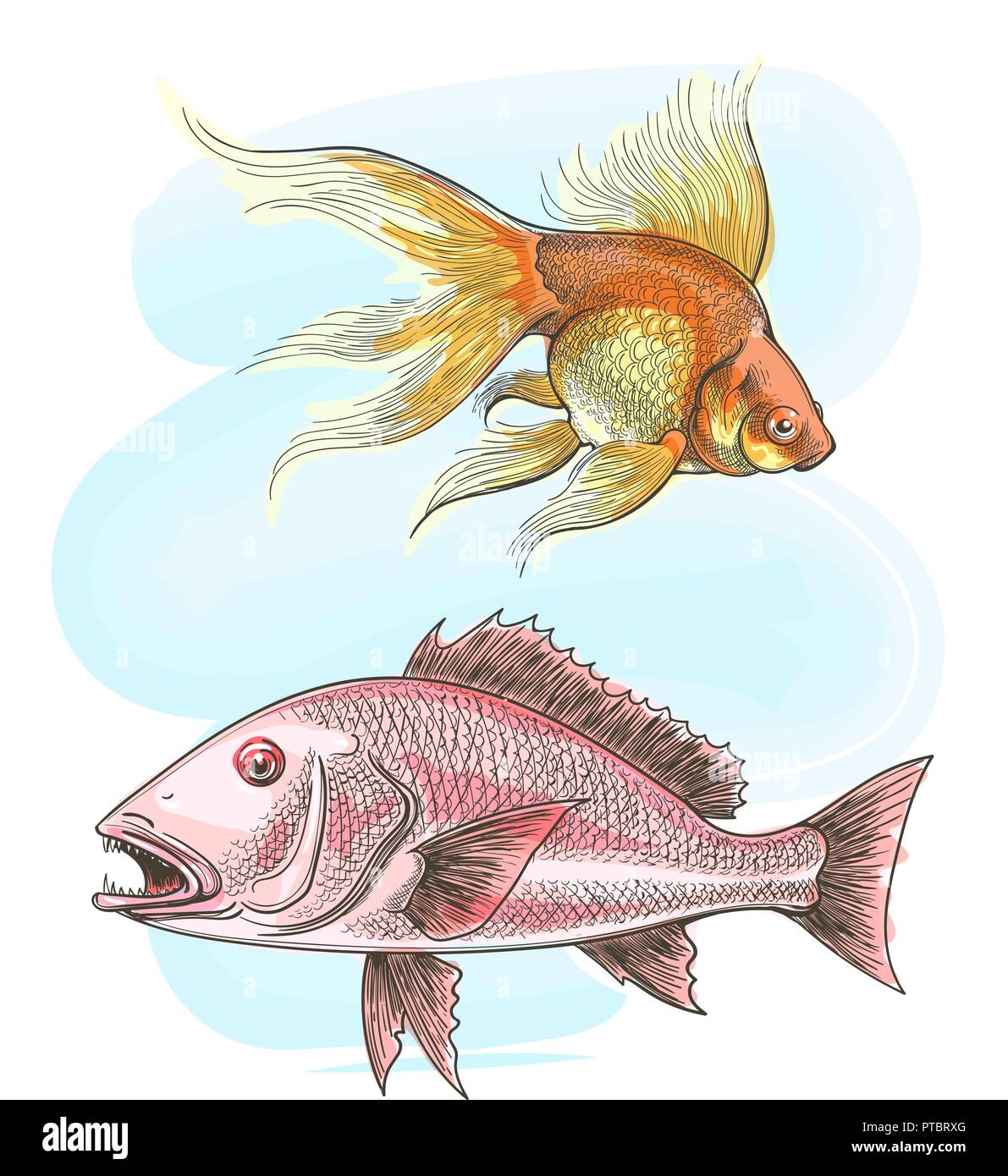 Watercolor fishes. Ink sketch fish set in fresh water color style ...