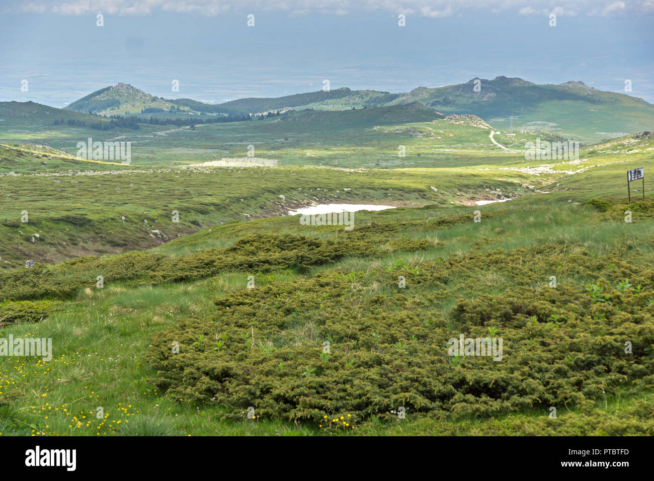 Landscape of Vitosha Mountain near Cherni Vrah Peak, Sofia City Region ...