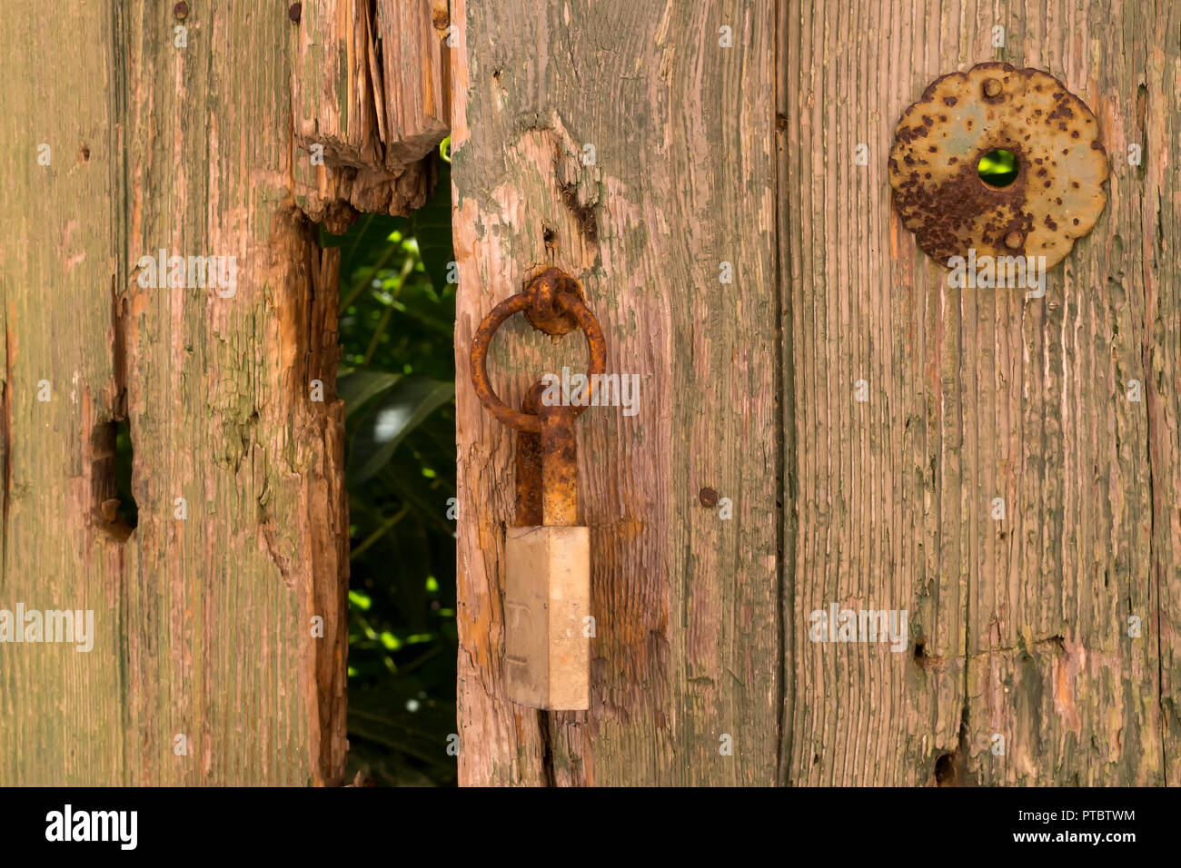 Natural wooden gate, which has signs it used to be painted green ...