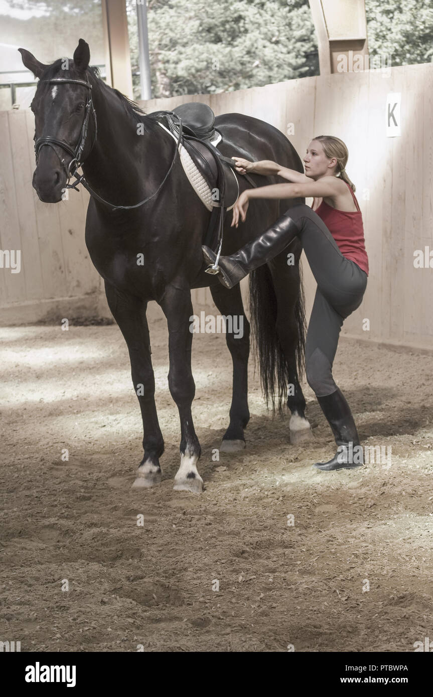 Girl Mounting Horse High Resolution Stock Photography and Images - Alamy