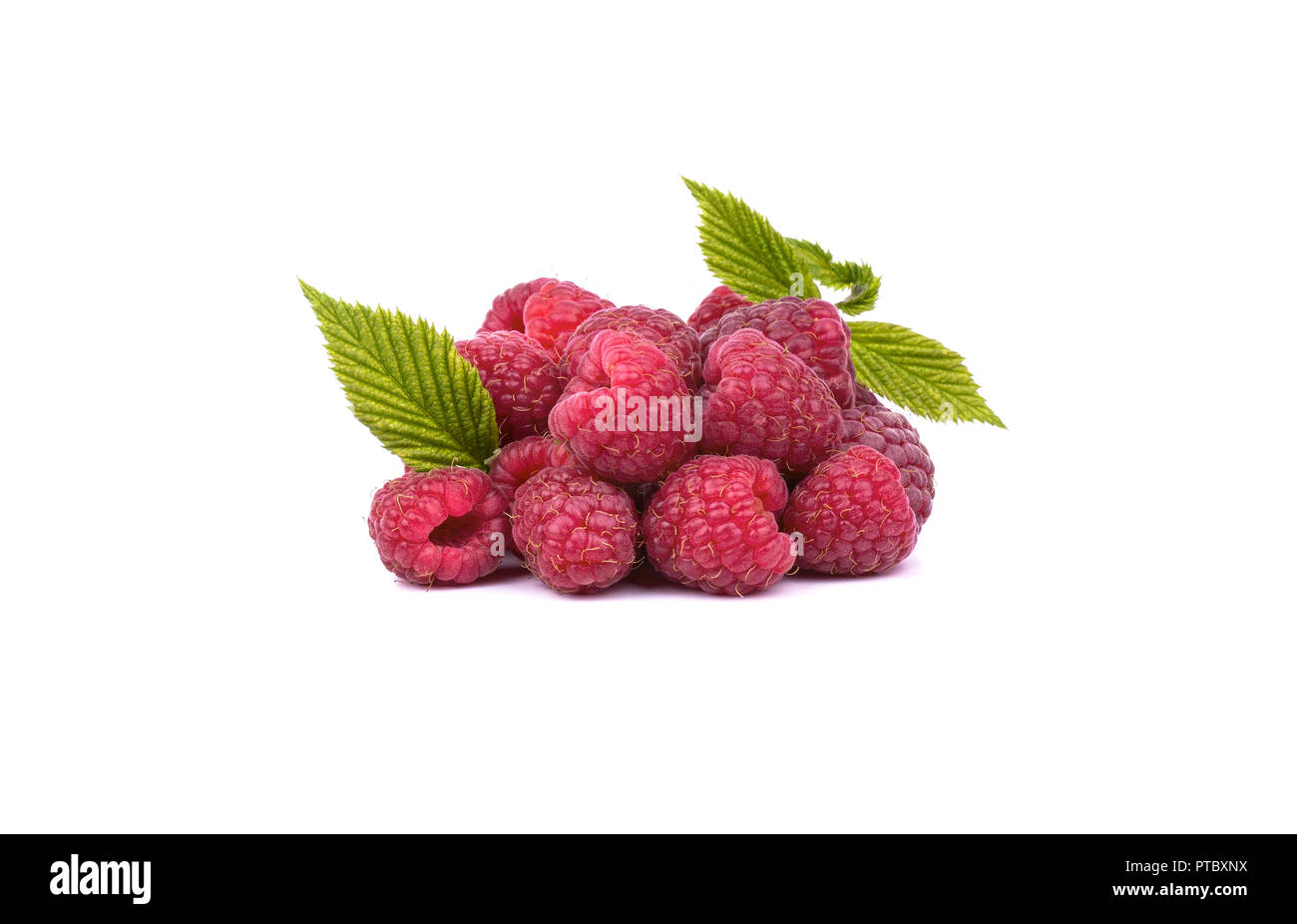 Big pile of fresh red raspberry with leaves on a white background Stock ...