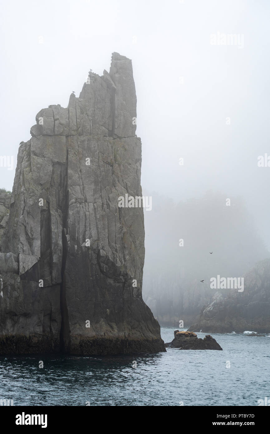 Sea stacks kenai fjords hi-res stock photography and images - Alamy