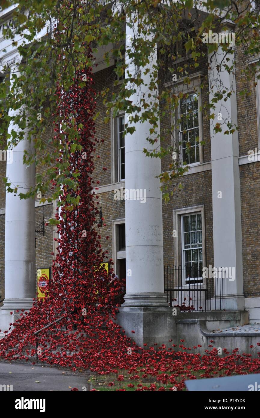 Cascading red poppies hi-res stock photography and images - Alamy