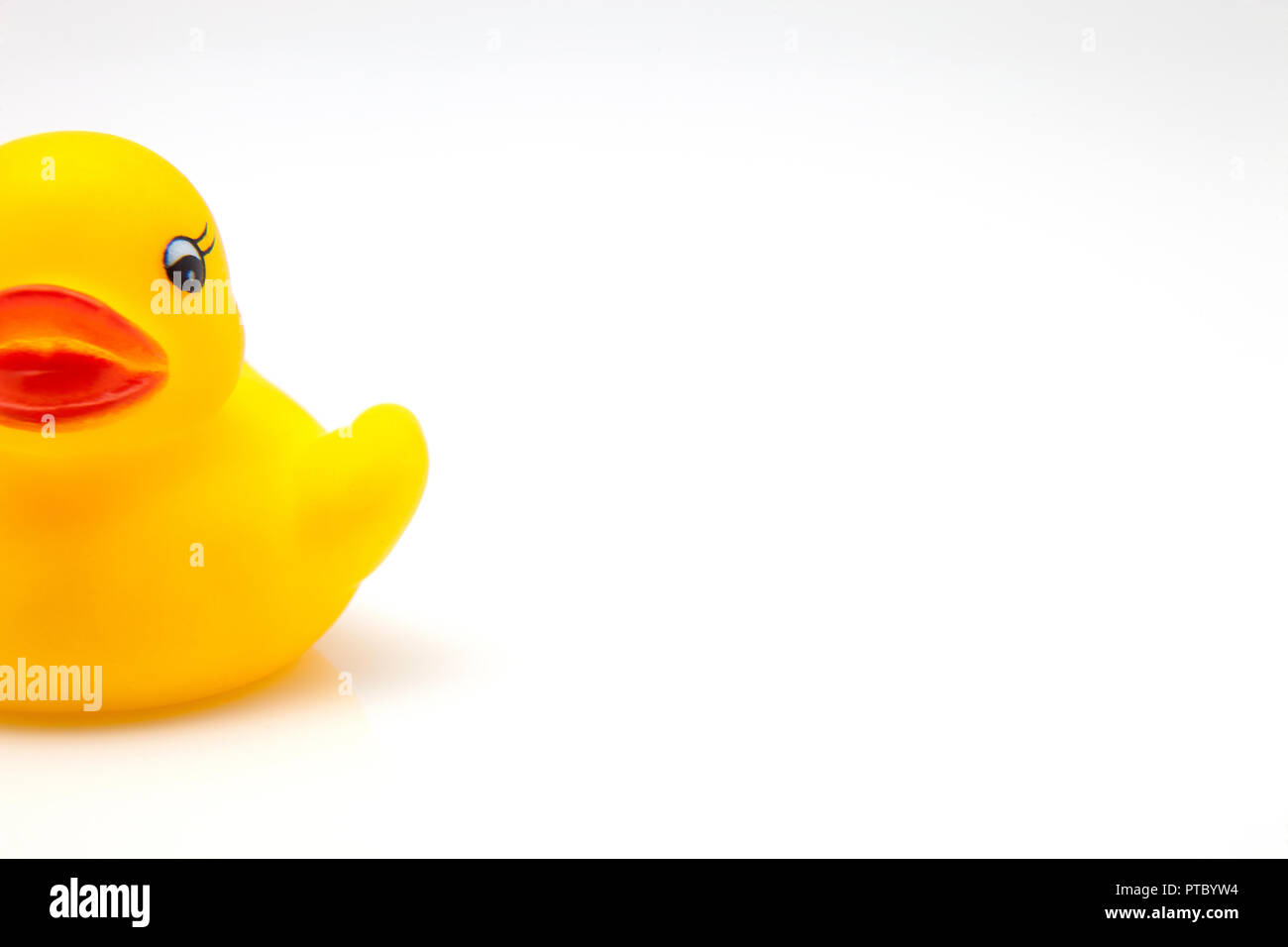 gum duck on white fund Stock Photo - Alamy