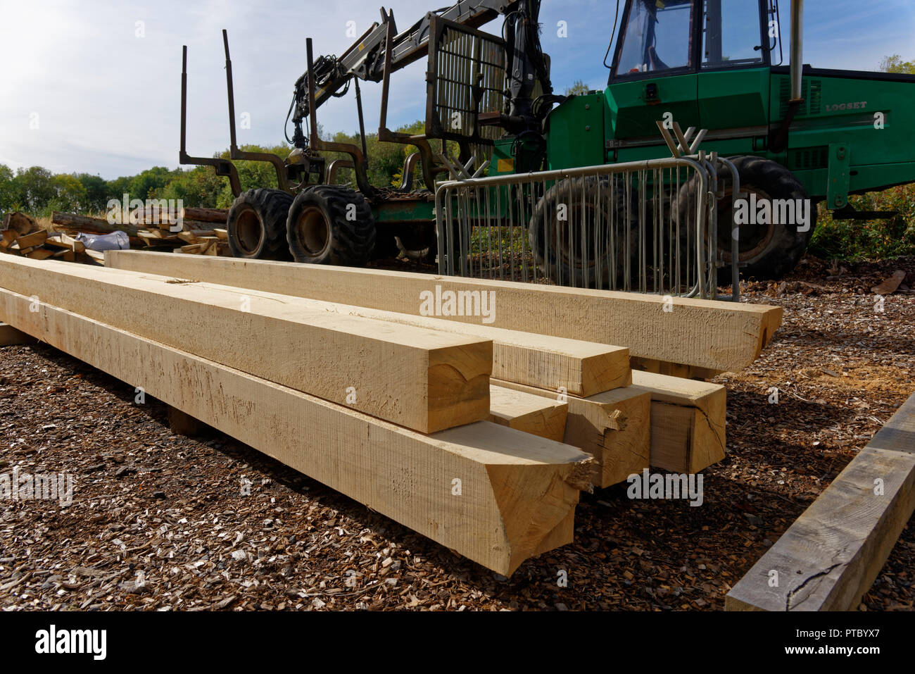 Freshly cut and milled timber Stock Photo - Alamy