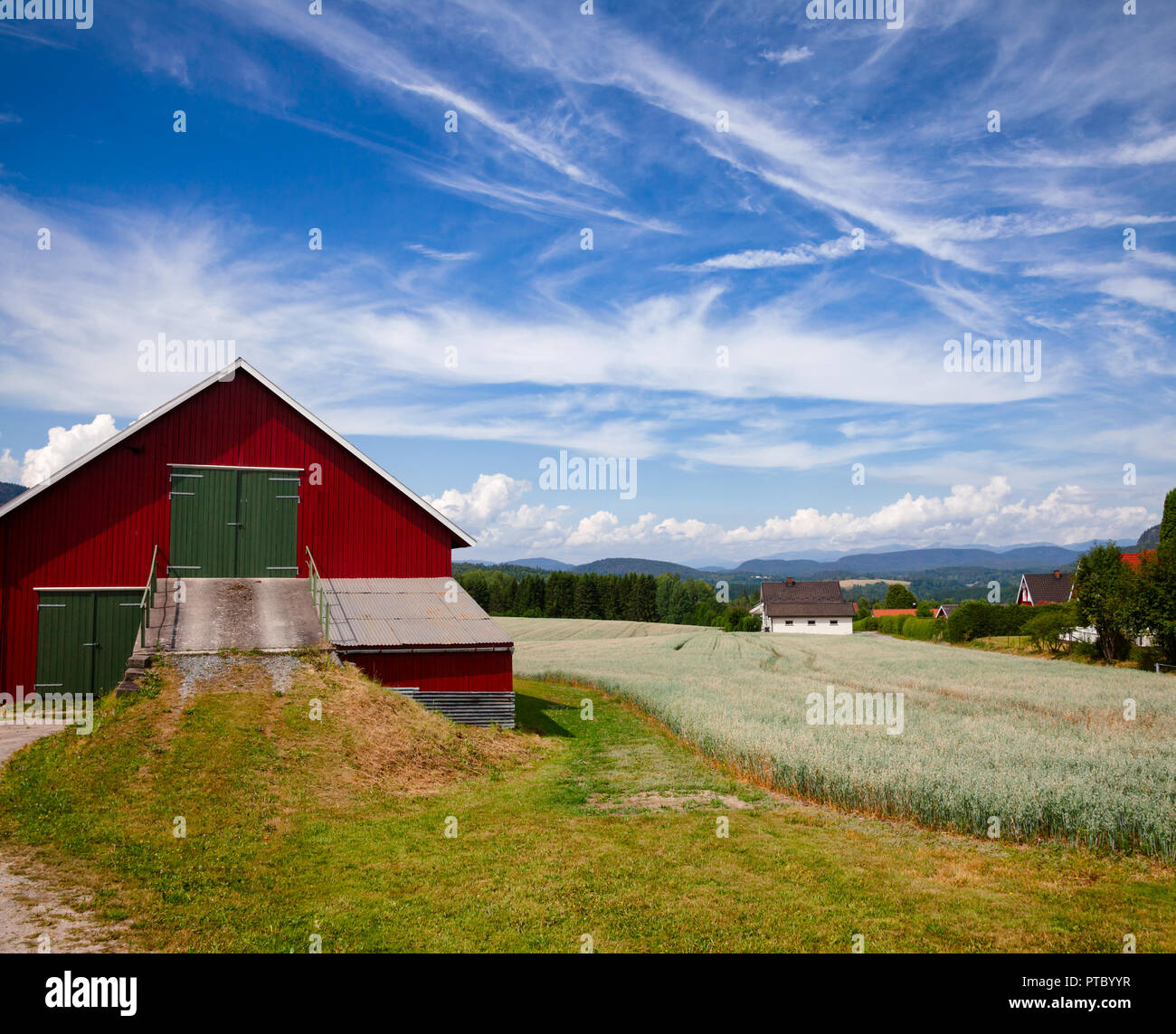 Norwegian rural landscape with traditional red wooden barn and oats ...