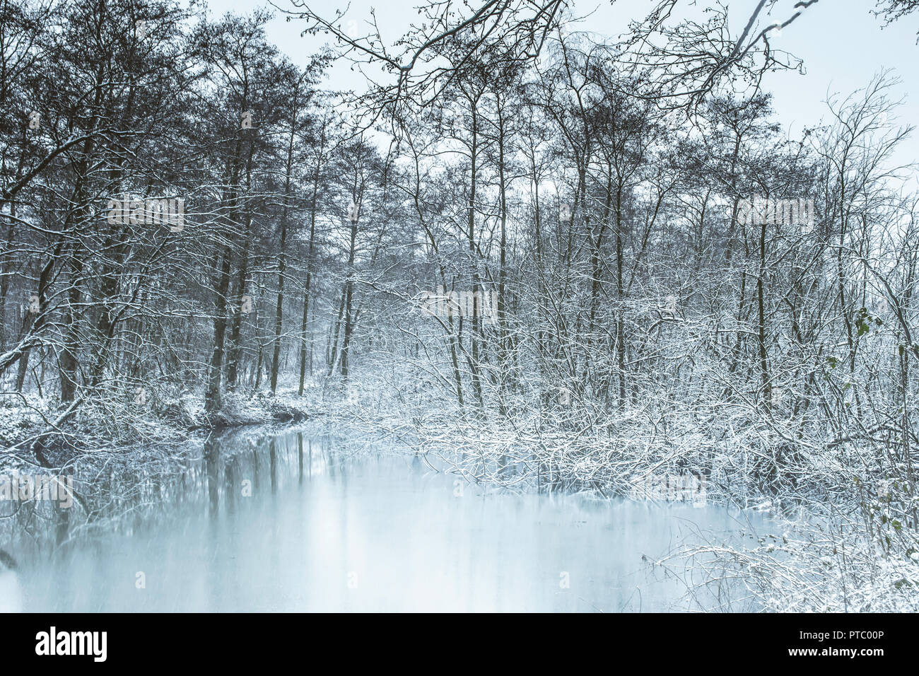 Frozen woodland pond hi-res stock photography and images - Alamy
