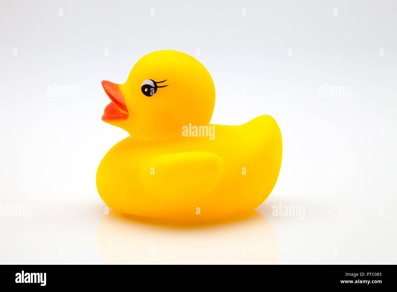 yellow gum duck on white fund Stock Photo - Alamy