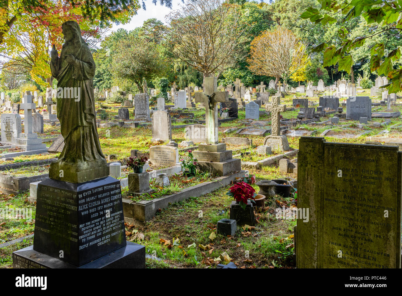 Hollybrook cemetery hi-res stock photography and images - Alamy