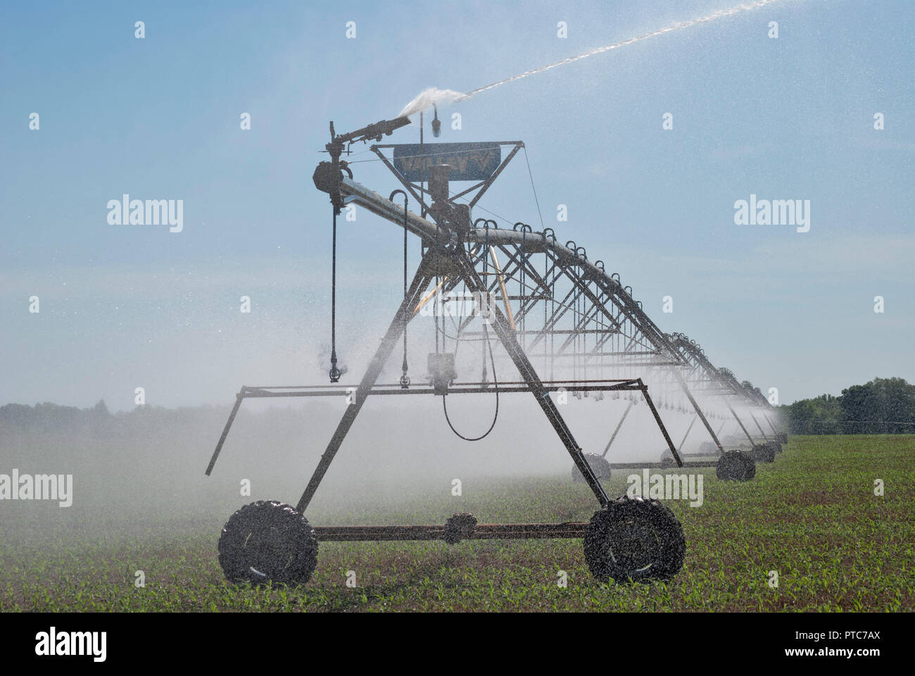 Center Pivot Irrigation Corn