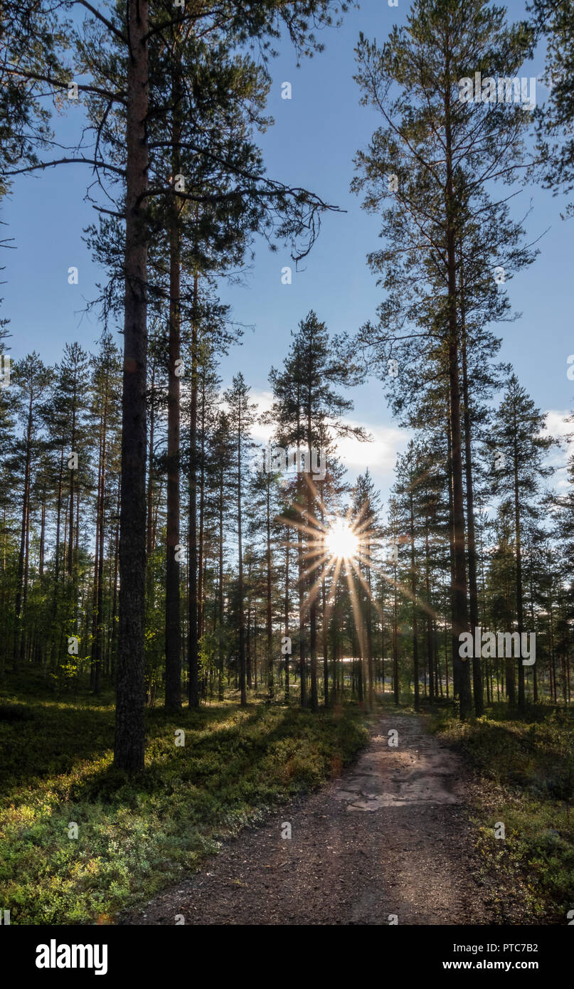 Boden hi-res stock photography and images - Alamy