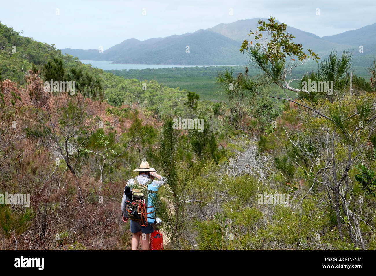 Hinchinbrook Island - The Thorsborne Trail Stock Photo - Alamy