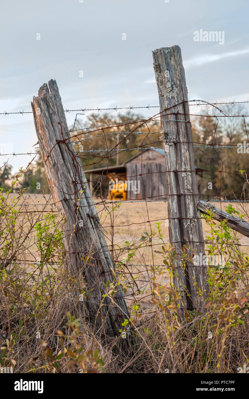 Fence Posts, barbed wire, and barn on a farm in North Central Florida ...