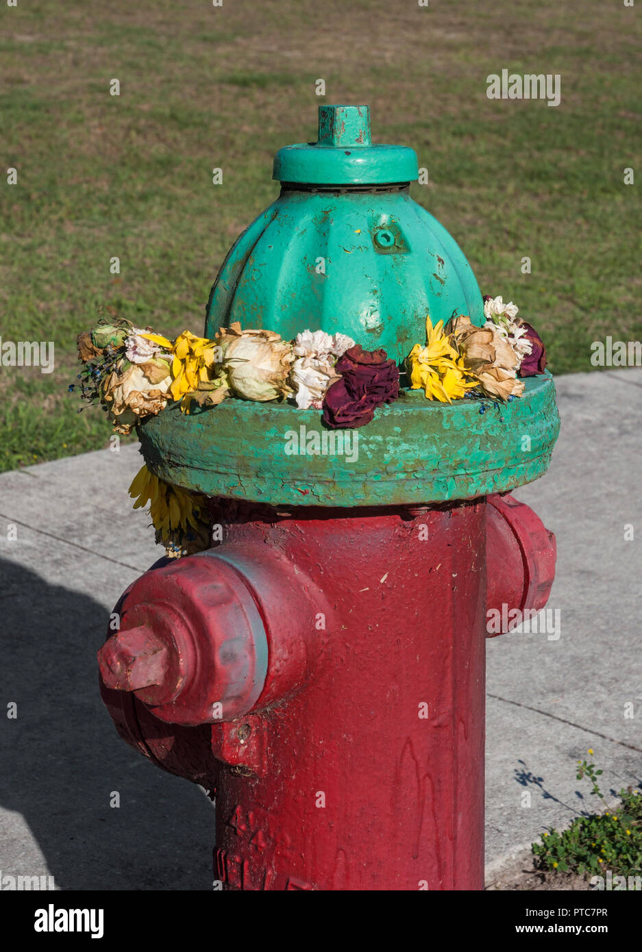 Flowers ring the top of a fire hydrant Stock Photo - Alamy