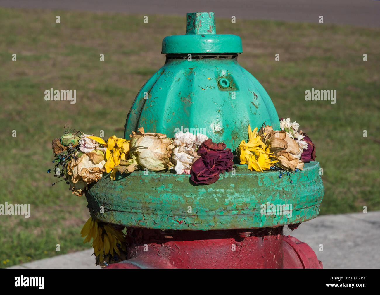 Flowers ring the top of a fire hydrant Stock Photo - Alamy
