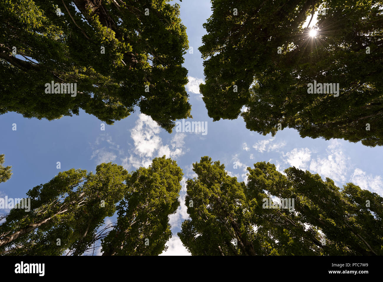 View from below into the sky hi-res stock photography and images - Alamy