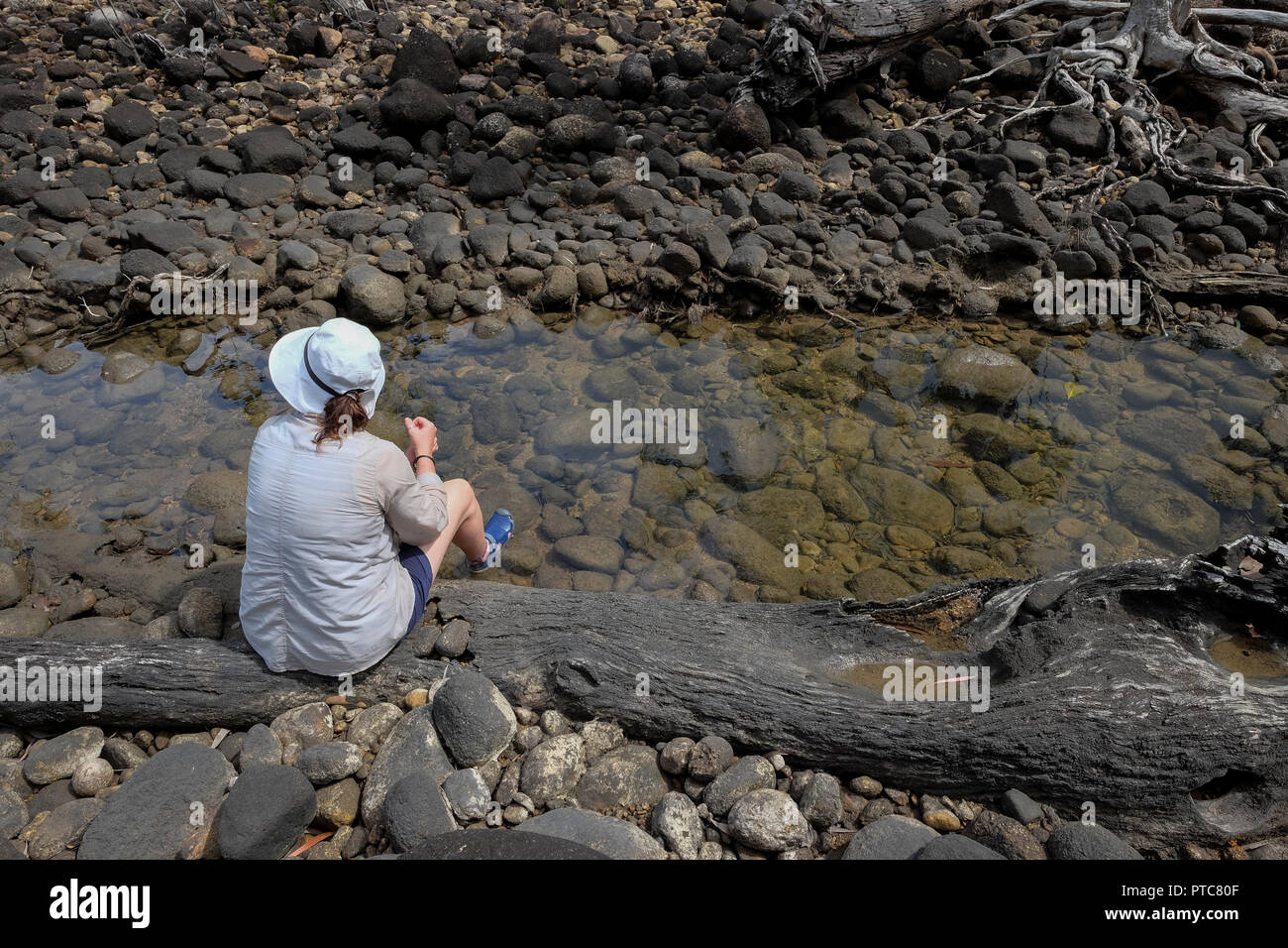 Hinchinbrook Island - The Thorsborne Trail Stock Photo - Alamy