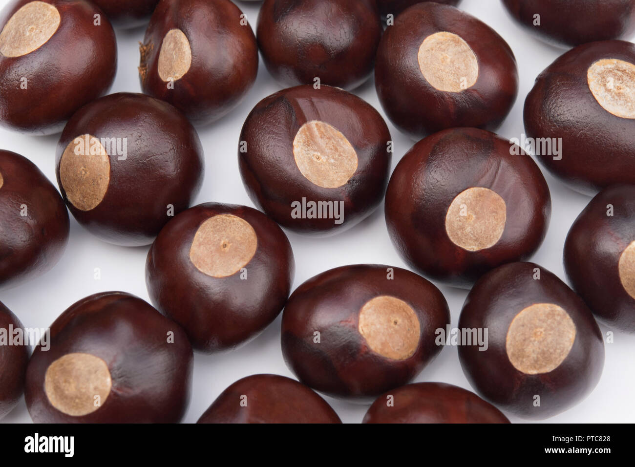 Buckeyes hi-res stock photography and images - Alamy