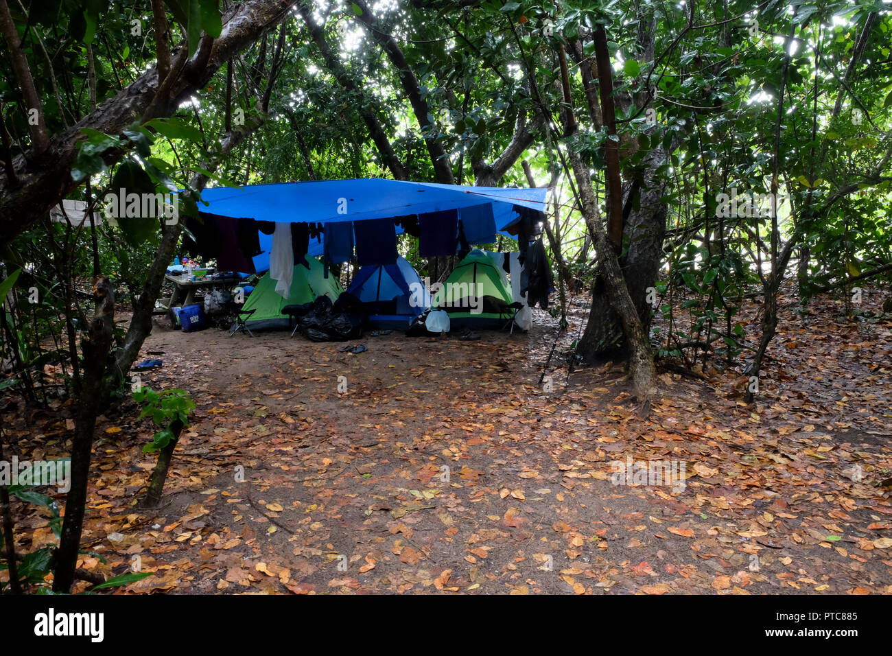 Hinchinbrook Island - The Thorsborne Trail - Zoe Bay Stock Photo - Alamy