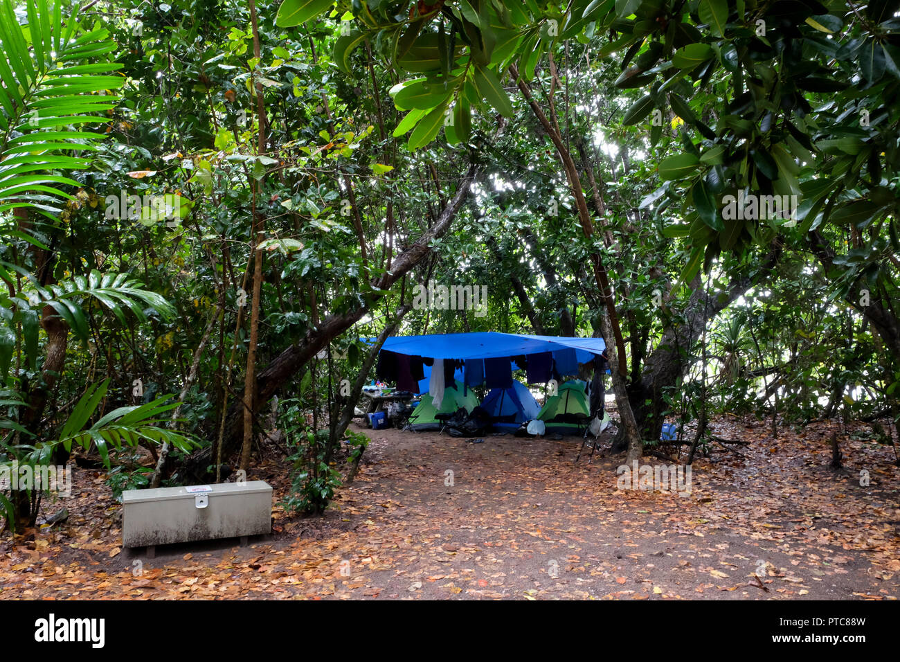 Hinchinbrook Island - The Thorsborne Trail - Zoe Bay Stock Photo - Alamy