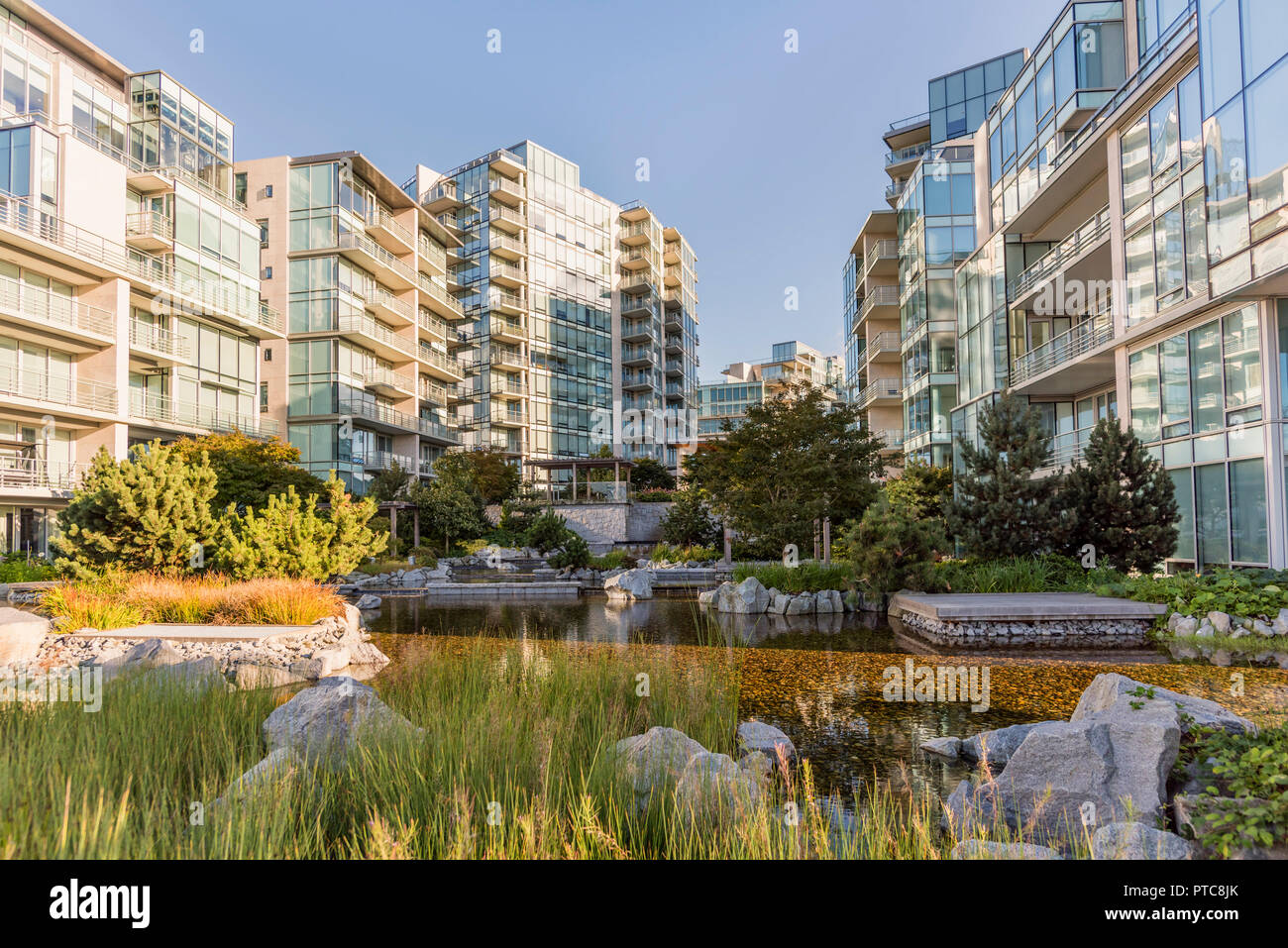 pond with stones, trees and bushes surrounded by new, modern high-rise ...