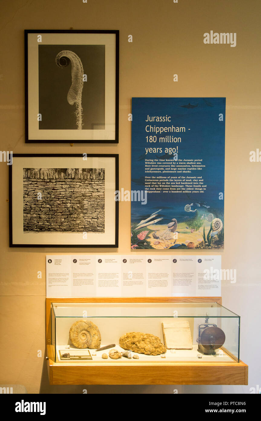 Jurassic geology display with permission of Chippenham museum ...