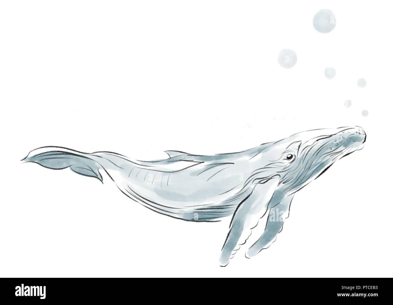 Watercolour fish poster Cut Out Stock Images & Pictures - Alamy