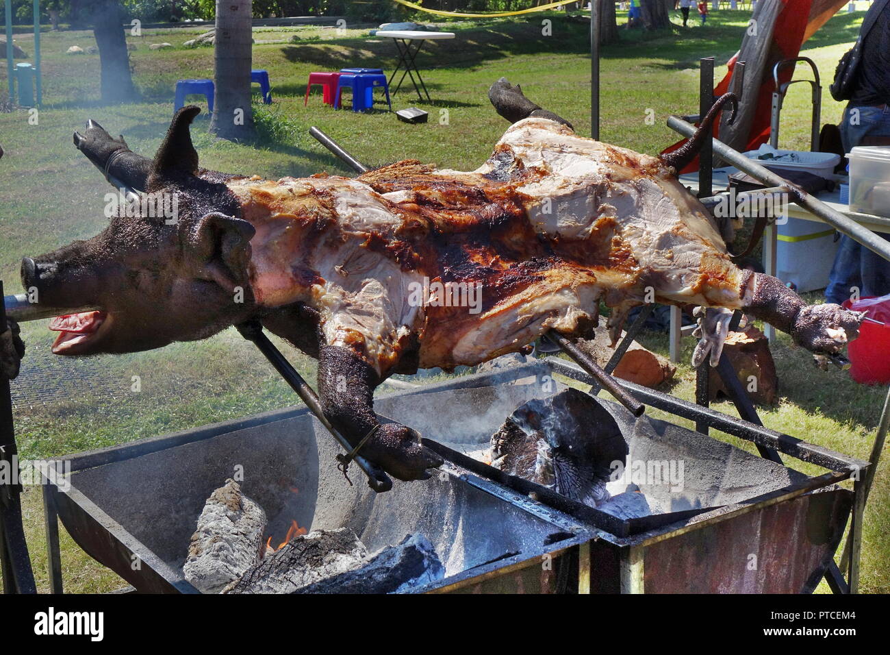 Pig barbecue hi-res stock photography and images - Alamy