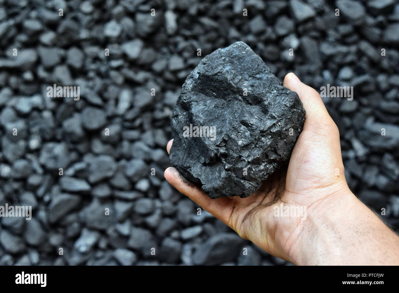 Hand of the miner shows coal in mine. Picture can be use to idea about ...