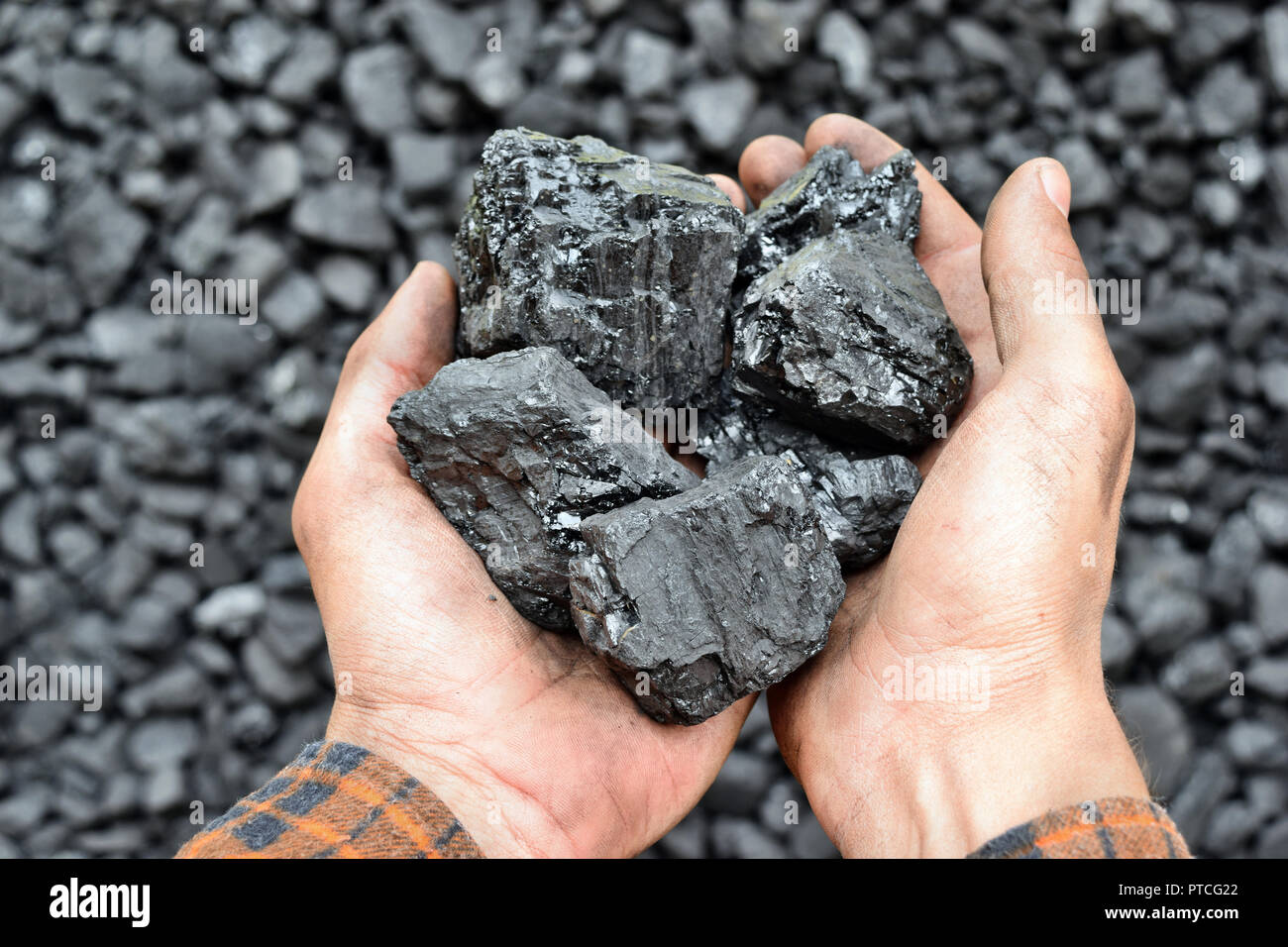 Coal in the hands of worker miner. Picture can be use to idea about ...