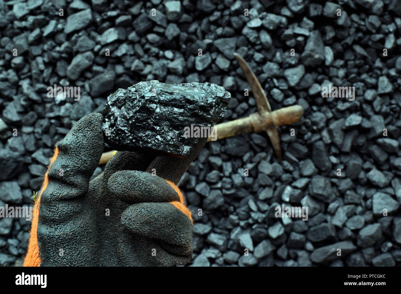 Hand of the miner shows coal in mine. Picture can be use to idea about ...