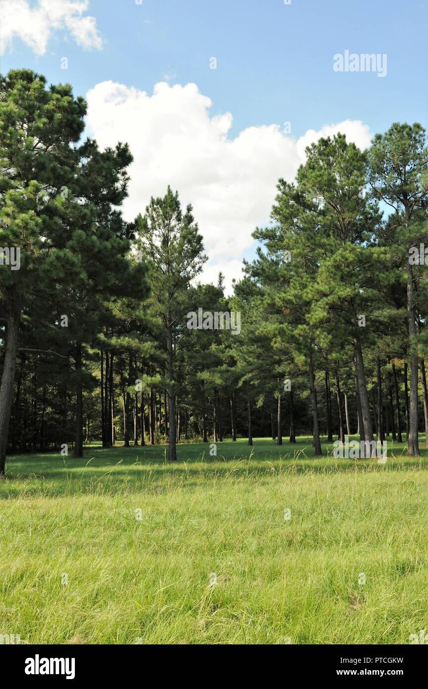 Rural Mississippi High Resolution Stock Photography and Images - Alamy