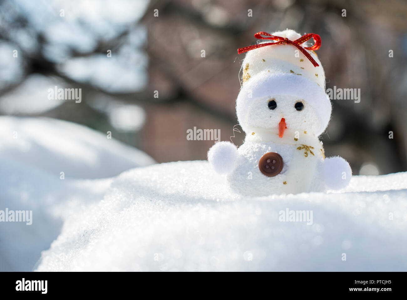 Carrot red sun hi-res stock photography and images - Alamy