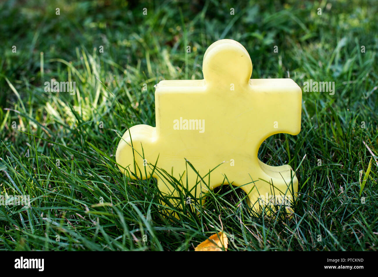 Yellow Puzzle piece in the garden Stock Photo - Alamy