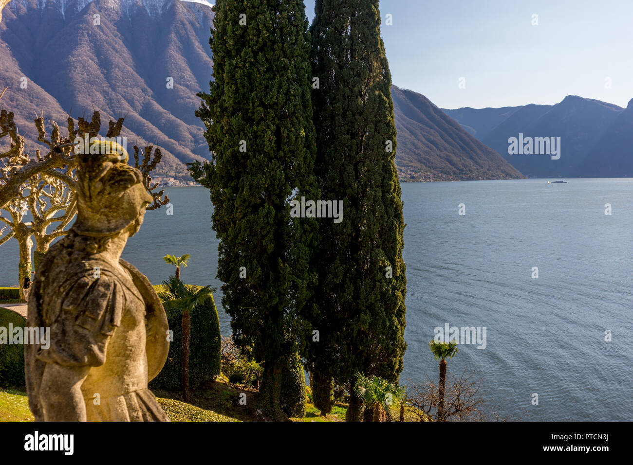Europe, Italy, Lecco, Lake Como, a tree with a mountain in the ...