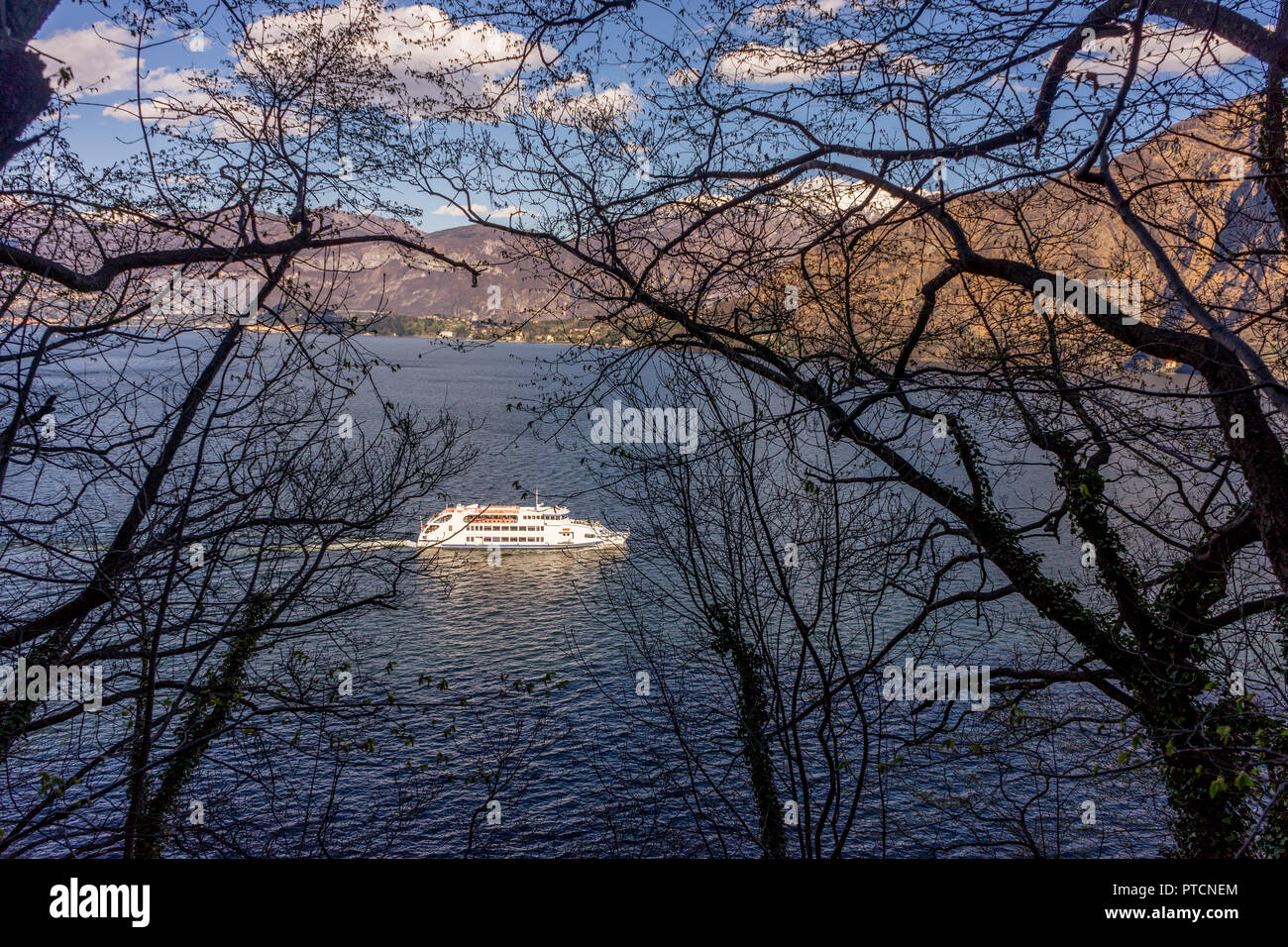 Europe, Italy, Lecco, Lake Como, BARE TREES WITH BUILDINGS IN ...