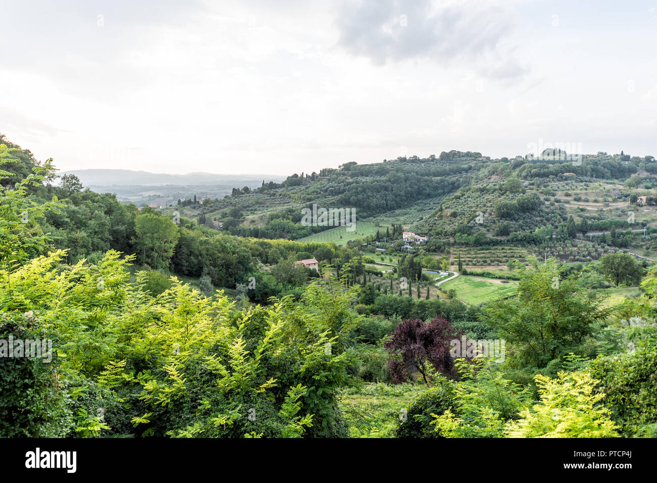 Green hills in orcia valley europe hi-res stock photography and images ...